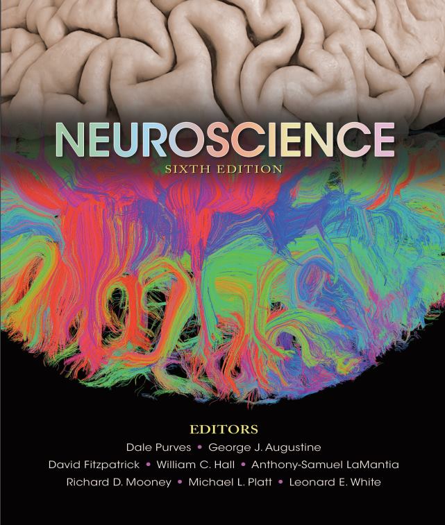 Libros en PDF gratis: Purves, Neuroscience 6th Edition