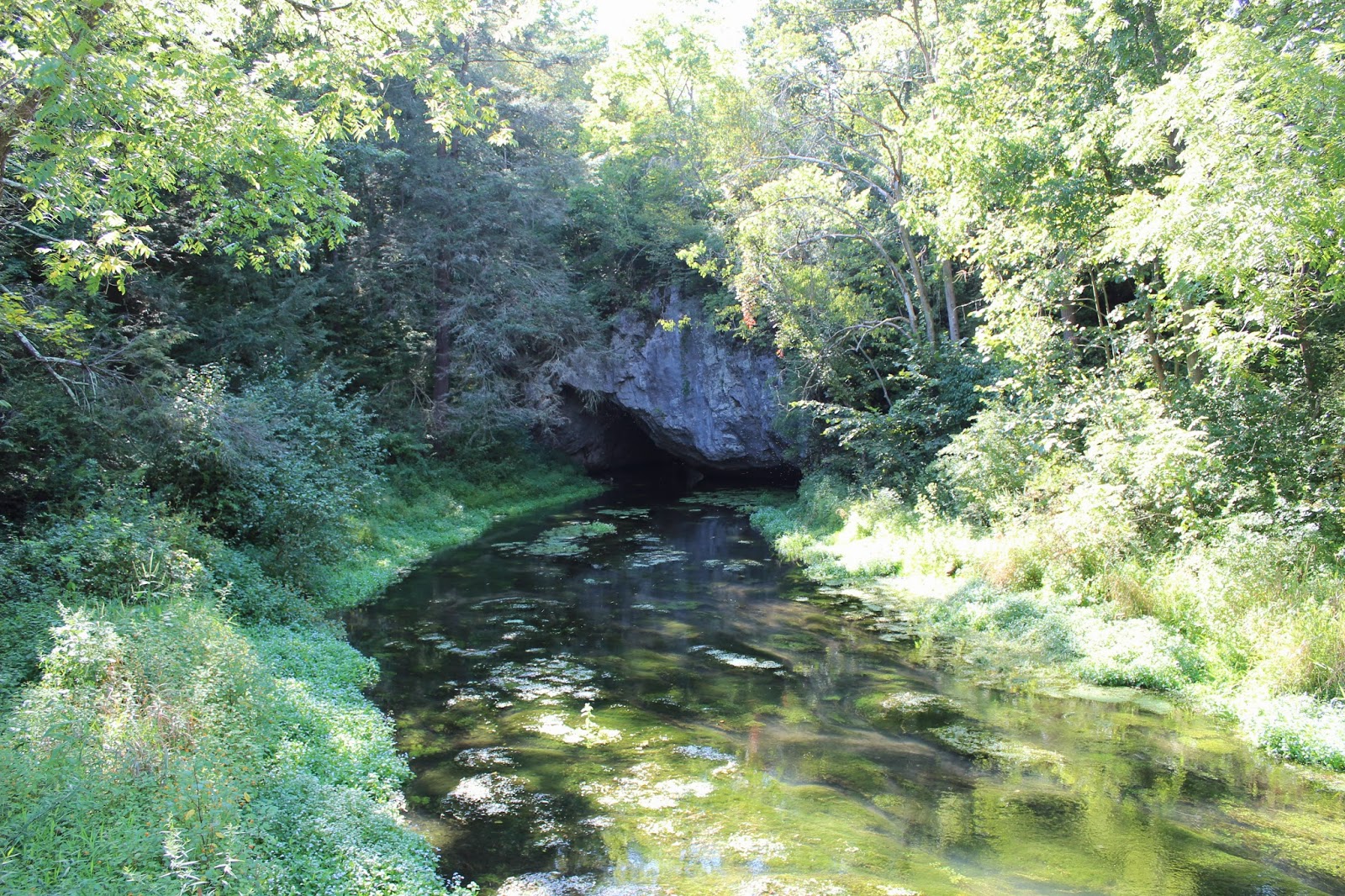 Discovery PA: Arch Spring