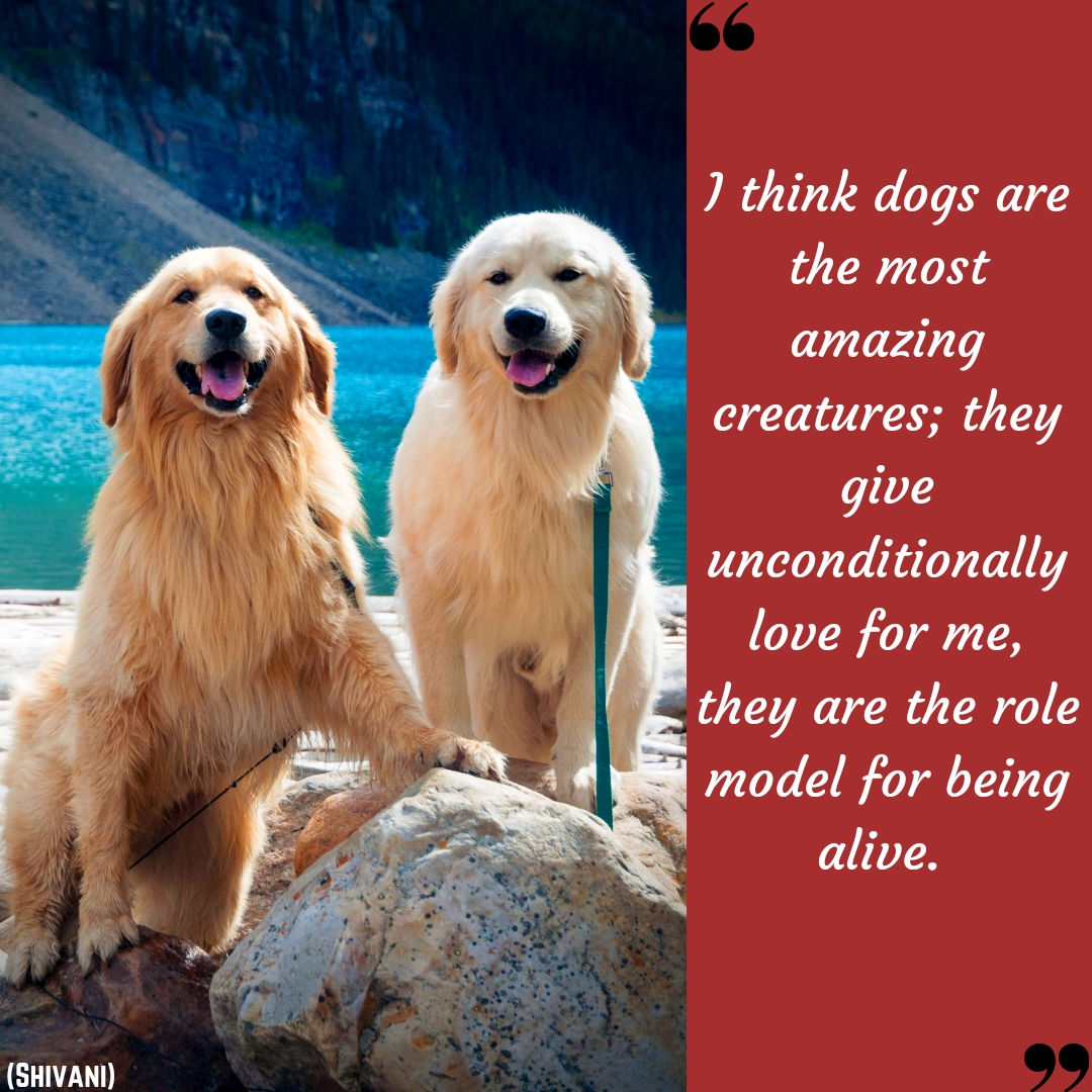 Best 100 Inspirational Dog Quotes About Love, Best Friend And Loyalty ...