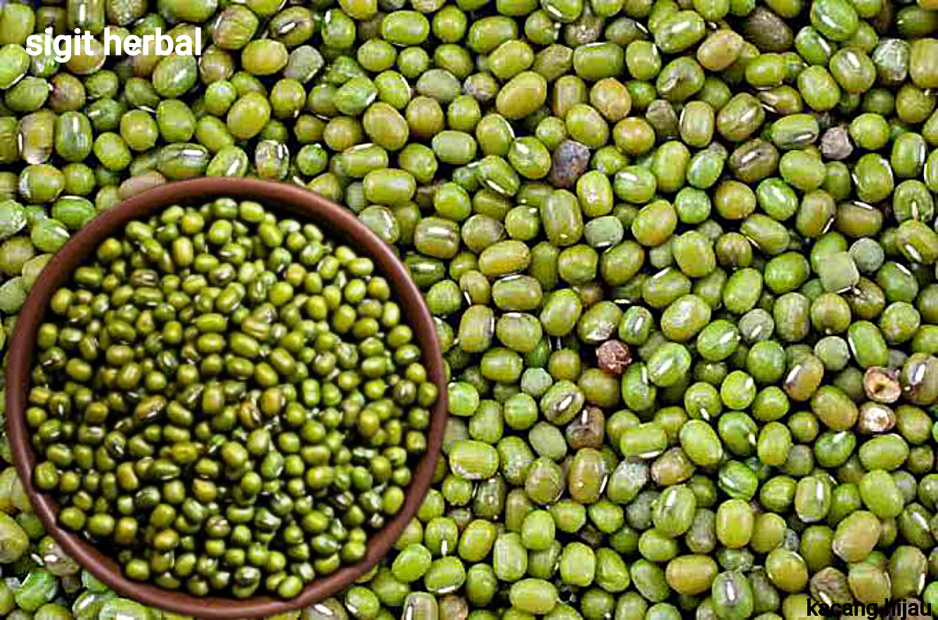 Hungry edema traditional medicine