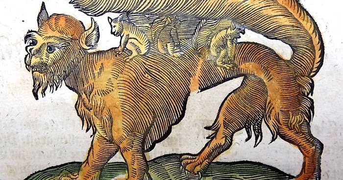 Planar Adventures for Dummies: The Súccarath