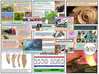 Amy Brown Science: Charles Darwin: The Tale of Evolution