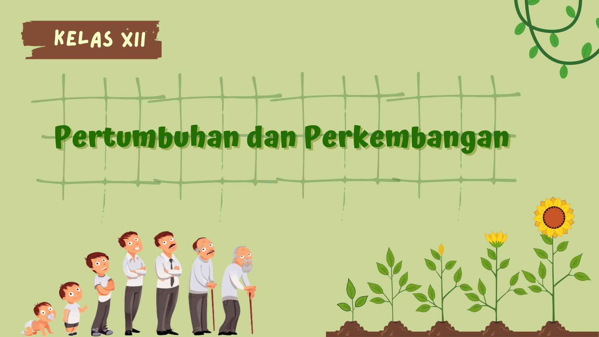 PERTUMBUHAN DAN PERKEMBANGAN 2 (XII IPA 6)