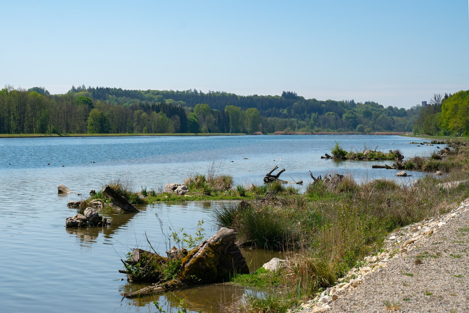 Premiumwanderweg DonAUwald | Etappe 1 von Günzburg nach Offingen