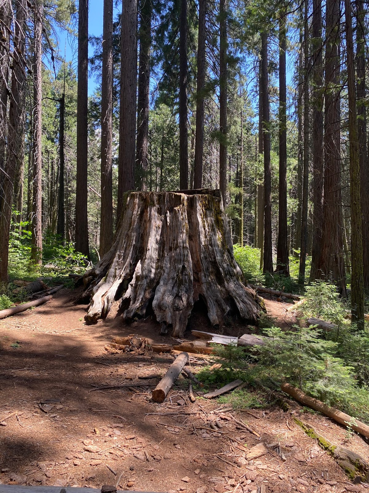 Sierra Vista Scenic Byway Part 1; Sierra National Forest Route 10