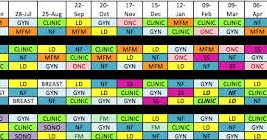 MASTER ROTATION PLAN ~ Nursing Path