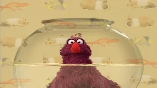 Watch Elmo's World Pets