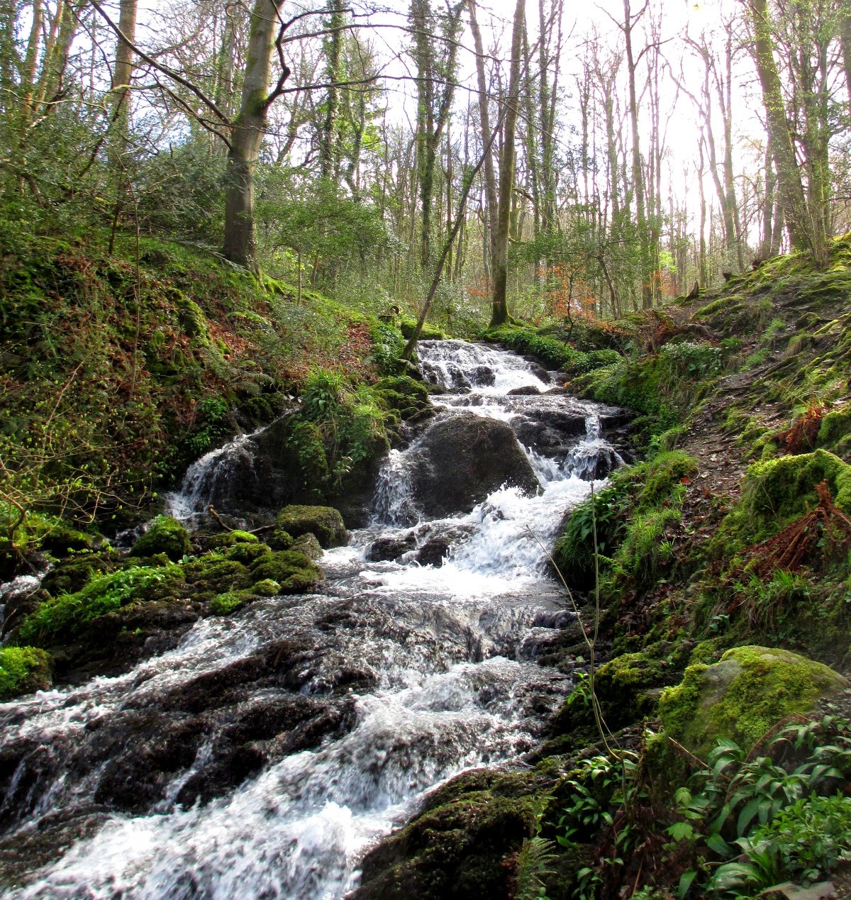 Flutterby Patch: Out and about