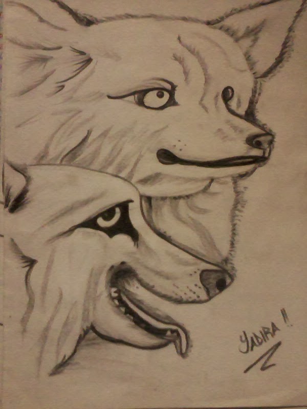 EL DIBUJO ARTISTICO: ¿Qué es el dibujo?