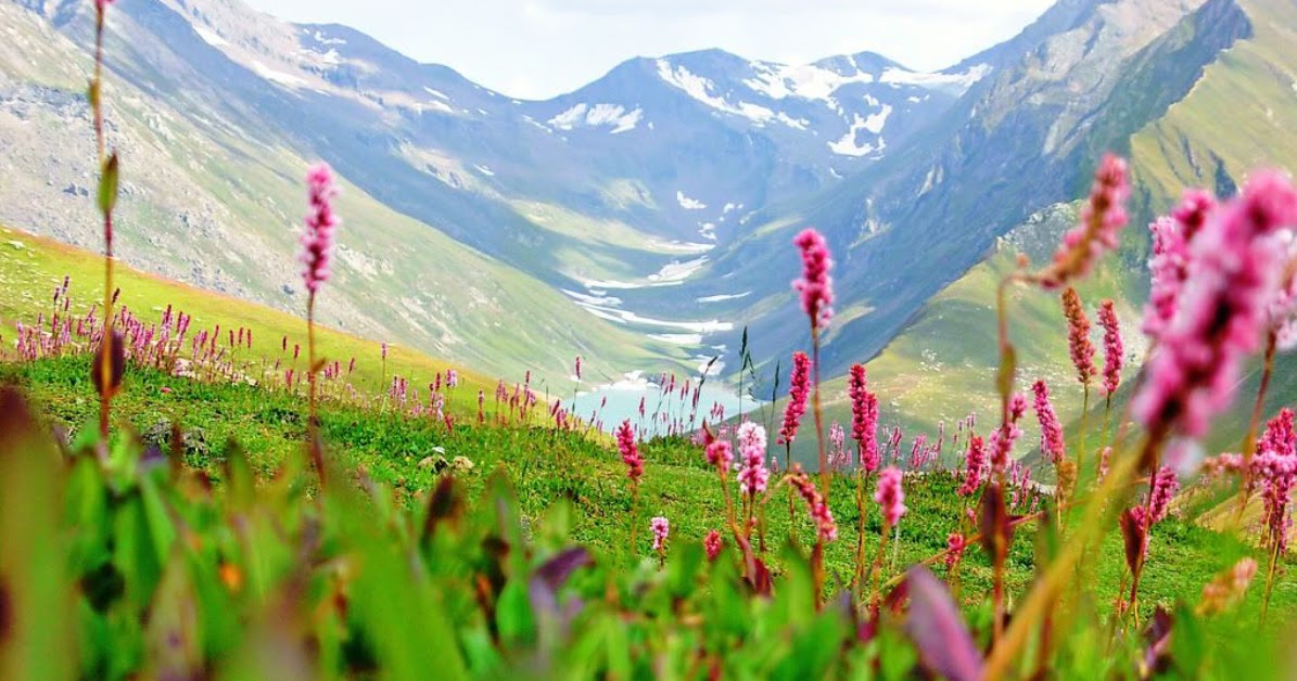 What is Silicon Valley & Silicon Plateau?