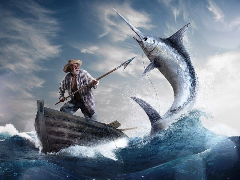 Marlin (Baited fish) , The Old Man and Sea ~ The National Duty