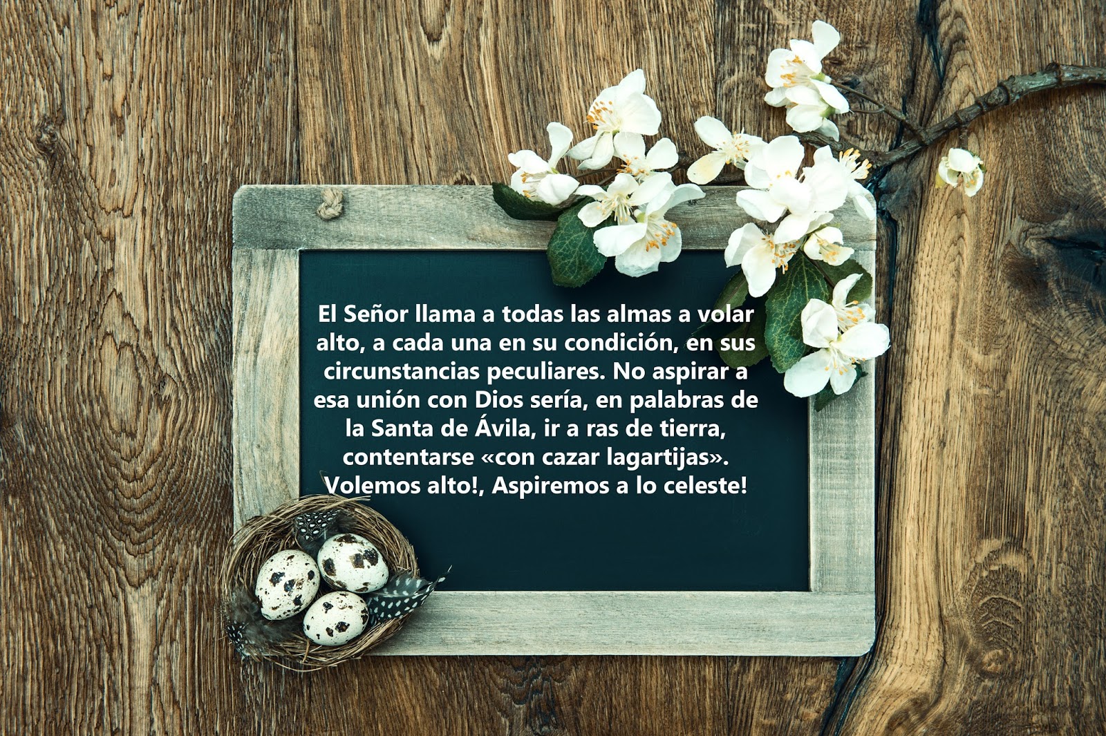 VIDA DE GRACIA: Dios nos llama a todos a «volar alto»