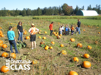 Pumpkin Fun! {Math and Literacy Activities with Pumpkins!} | Mrs ...