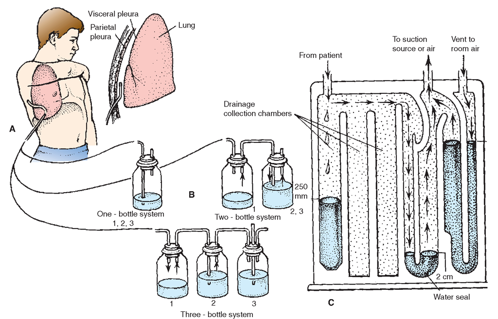 MEDICOQUIRURGICALEY I: MEDICOQUIRURGICALEY: Analizar las Alteraciones ...