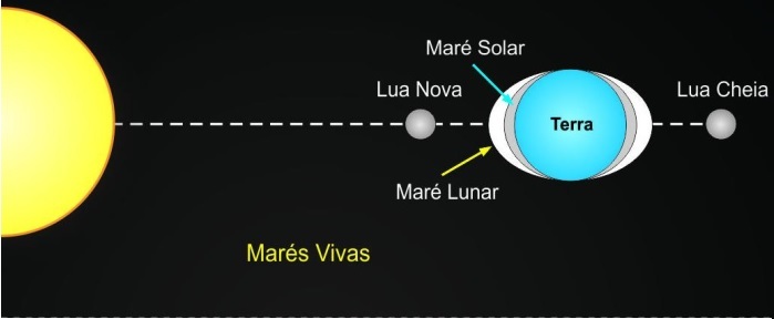 O Movimento: 6. A Marés