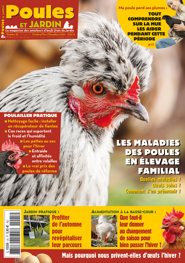 Poules et jardin