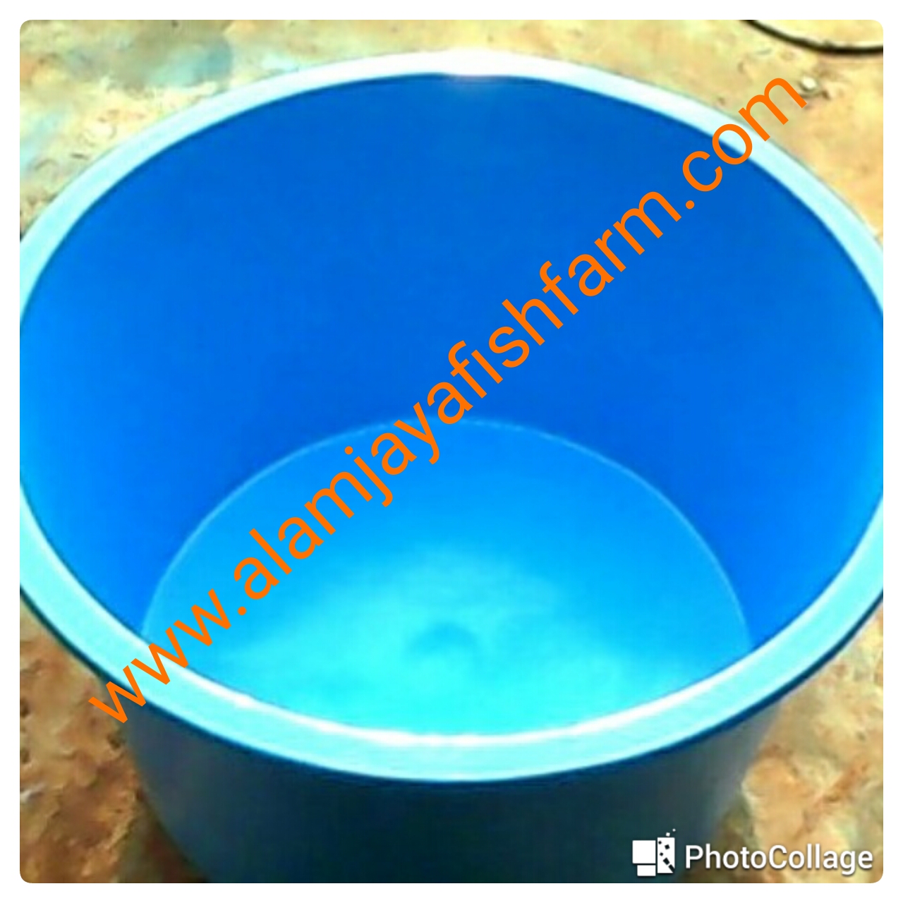 BAK FIBER KOLAM BULAT - phytoncatfishfarm