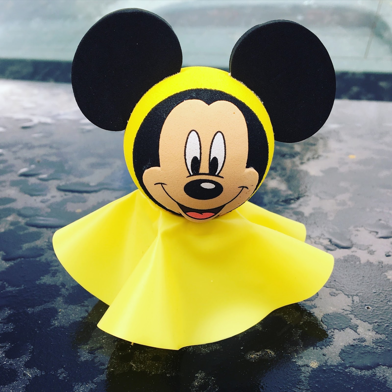 Disney Sisters: The Ultimate Rainy Day Guide to Disneyland Resort