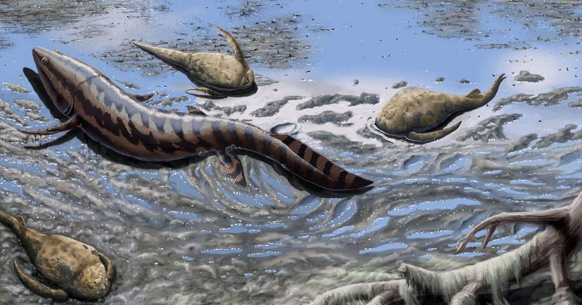 Blog de la Vida Prehistórica: Panderichthys