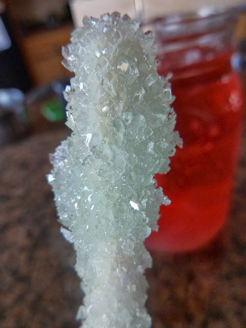 Saturday Scientists: Christmas Crystals