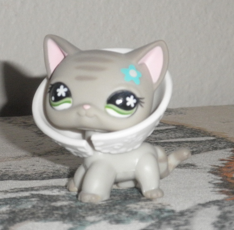 Collectomania: LPS Cats