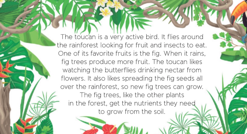 4 SCIENCE Semana 11 2 Periodo 4 1 WHAT IS AND HOW IS CONFORMED AND ECOSYSTEM 4 SCIENCE Semana 11 2 Periodo 4 1 WHAT IS AND HOW IS CONFORMED AND ECOSYSTEM
