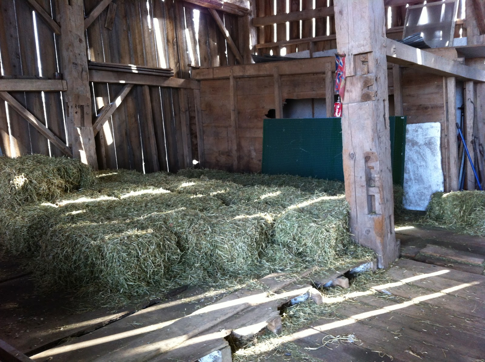 HICK CHIC: Making the best of an old barn - Part 1 - The Hay Mow