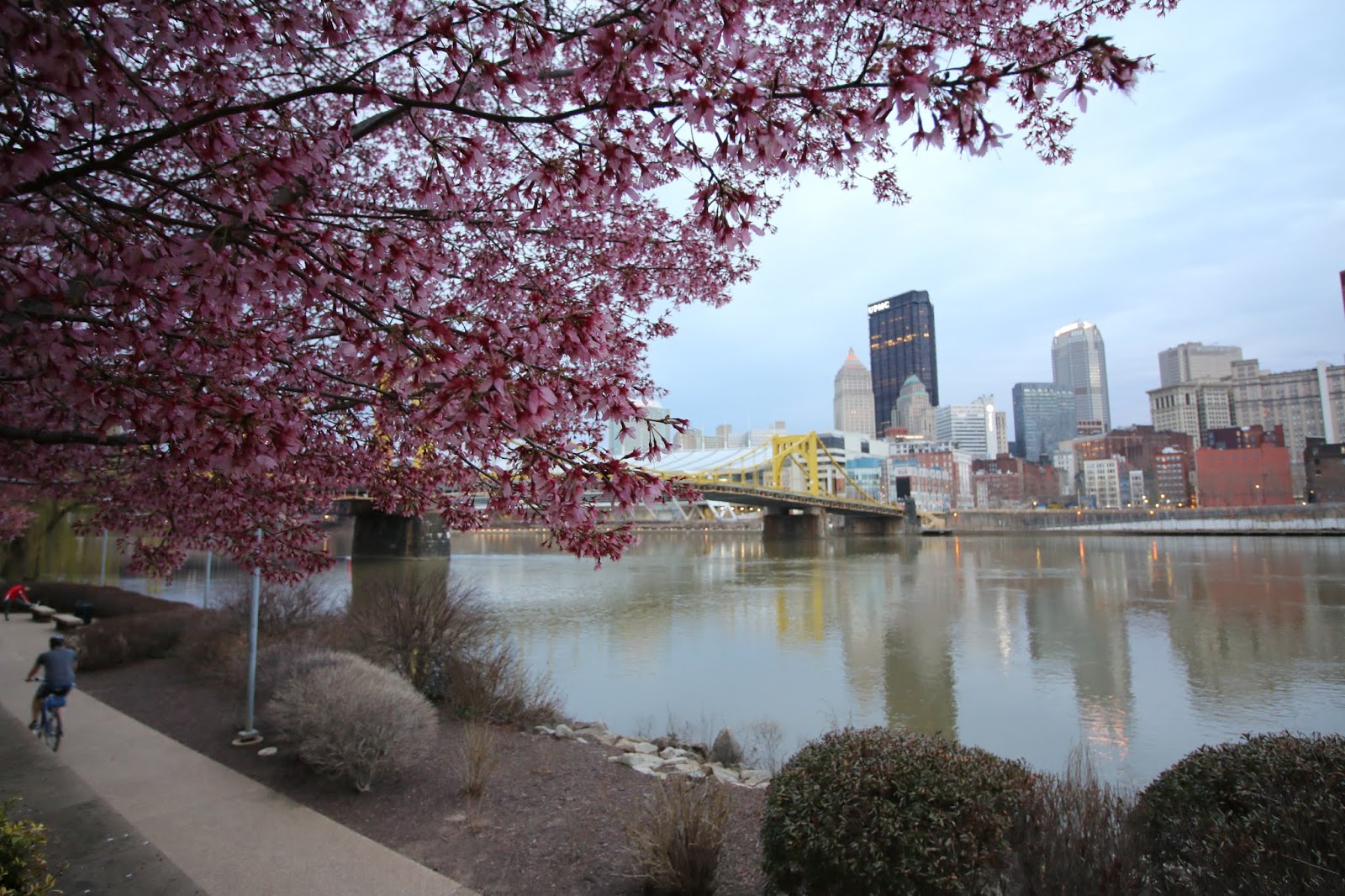 Pittsburgh's City Parks: Wonderful Urban Nature Sanctuaries ...