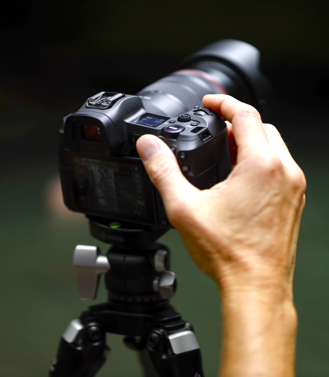 ZOOM FOTOGRÁFICO : Cámaras de fotograma completo.