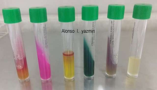 Bioquímica Diagnóstica BQD-YAI: 2020-03-29