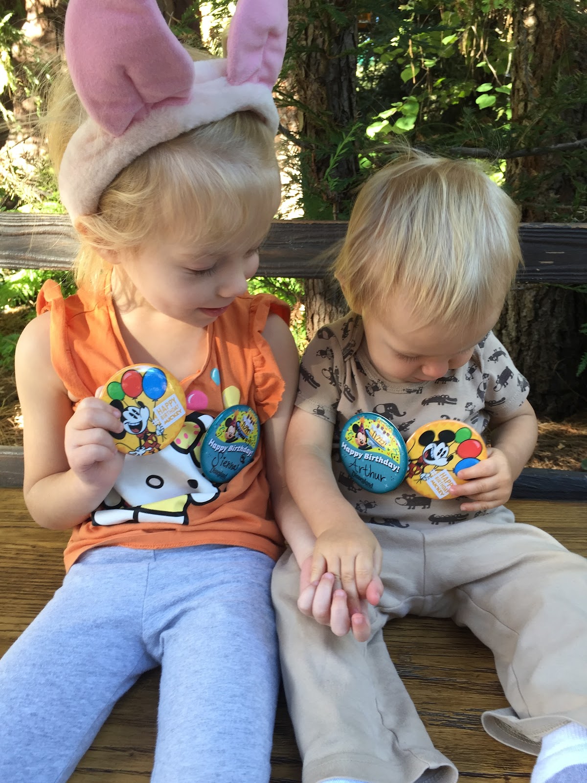 Chadwicks' Picture Place: Happy Birthday, Sienna, Arthur, and Mickey!