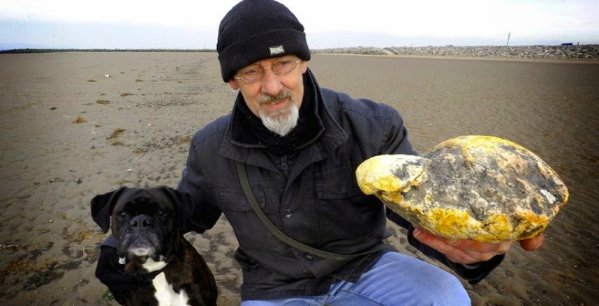 Excrément de baleine, le précieux ambre gris ~ Oceanica