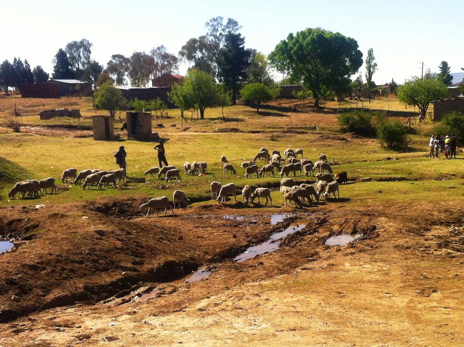 Stories to tell . . .: Lesotho - Settling into Mohale's Hoek