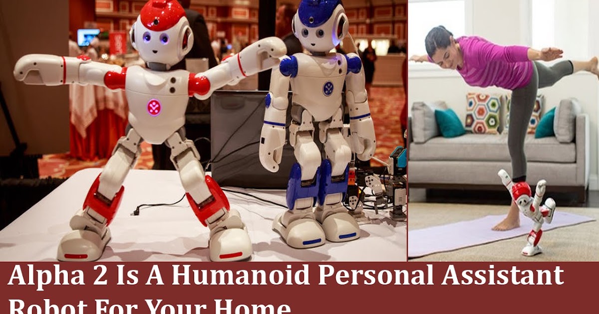Techs And Facts: ALPHA 2-The Smartest Robot