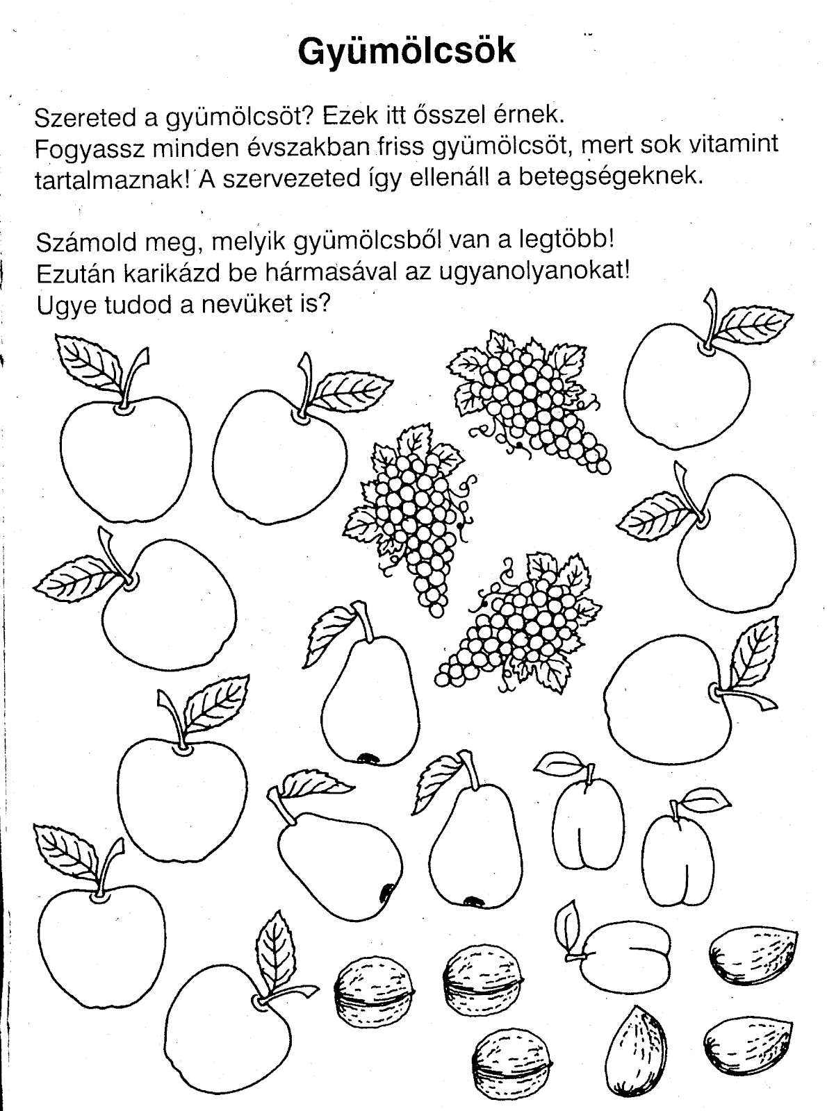 Nyomtatható feladatlapok II. - Ovisélet