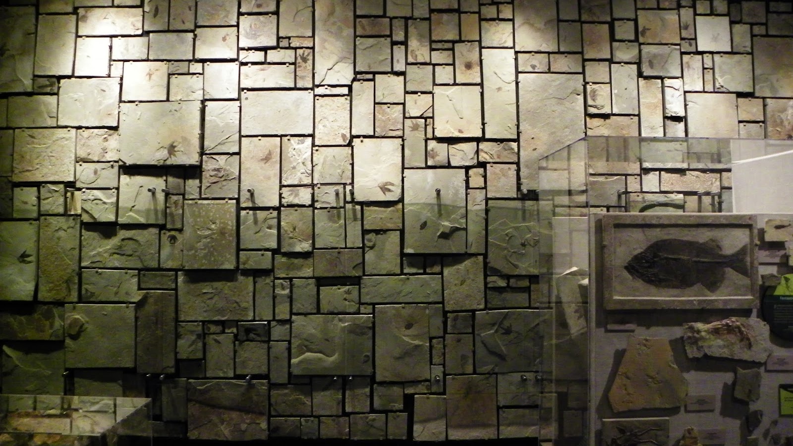 BONE ROOMS: April 2017