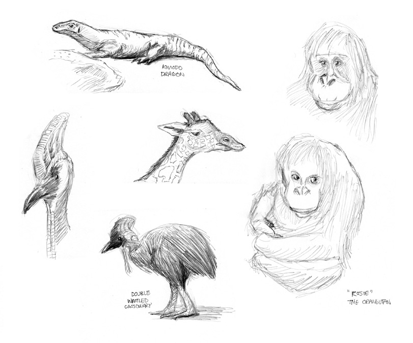Braden's Sketch Blog: Day 7 - The L.A. Zoo