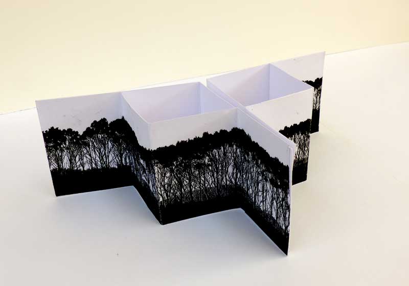 Charlton Stitcher: Hedges and Artists' Books