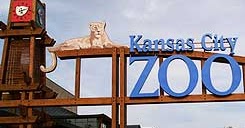 Kansas City Zoo Coupons