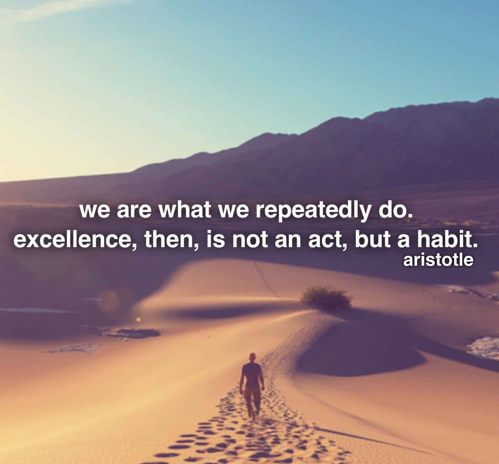 #3 Excellence Quotes For Work - Own Quotes Words