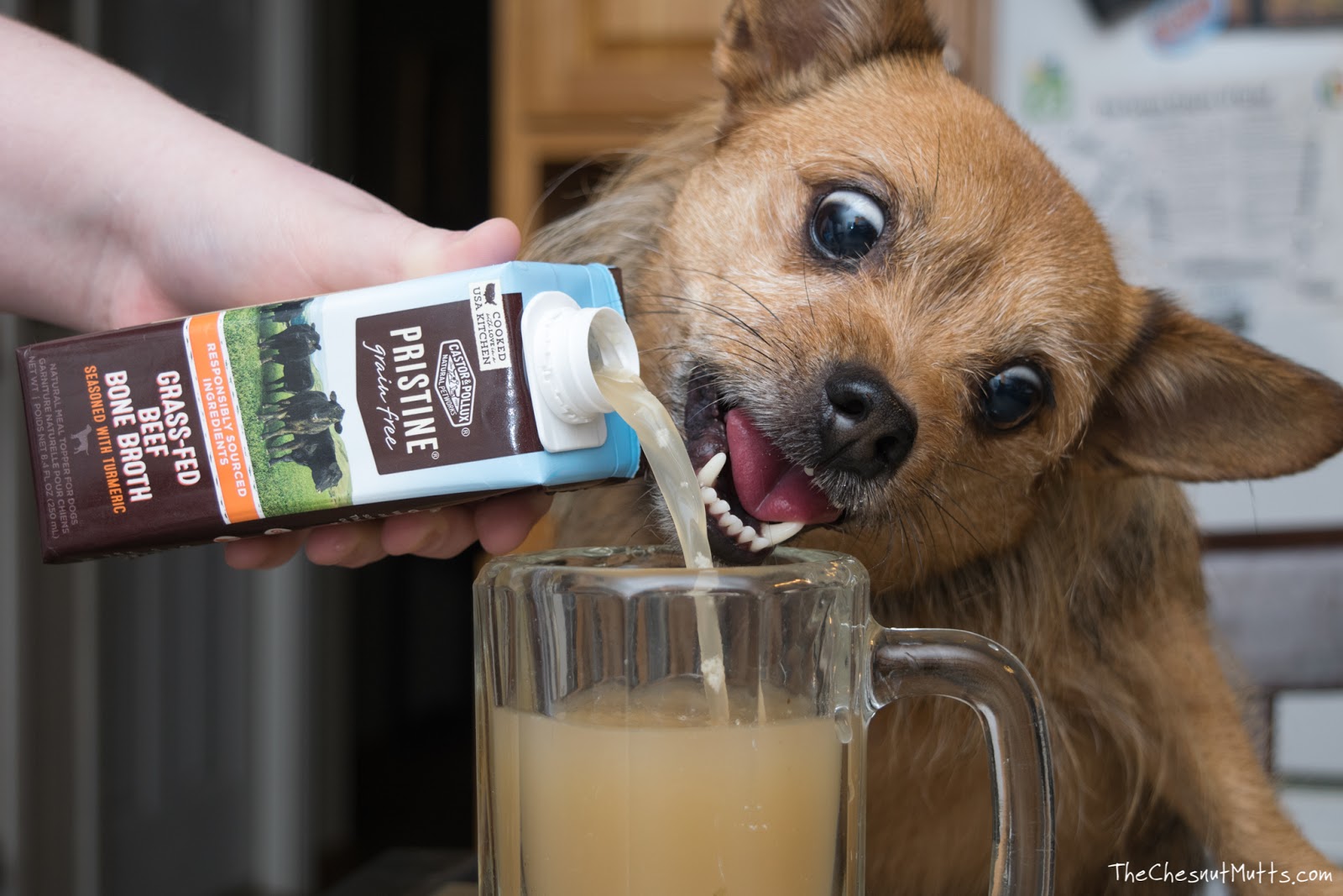 Mini Review: Castor & Pollux Pristine Grass-Fed Beef Bone Broth with ...