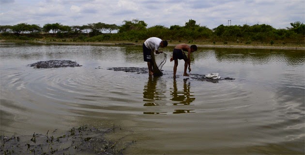 "MALAMBO/ATLANTICO": RECORRIDO POR MALAMBO