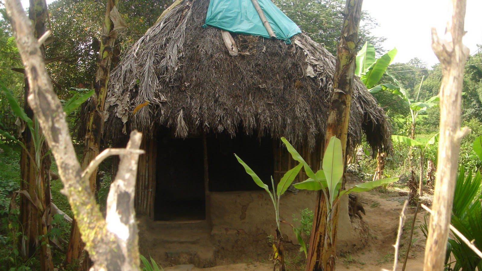 SIDDI JANA VIKAS SANGA: 2011