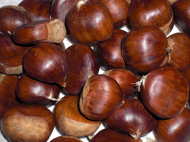 Tarrenego!: As castanhas são como o próprio nome indica