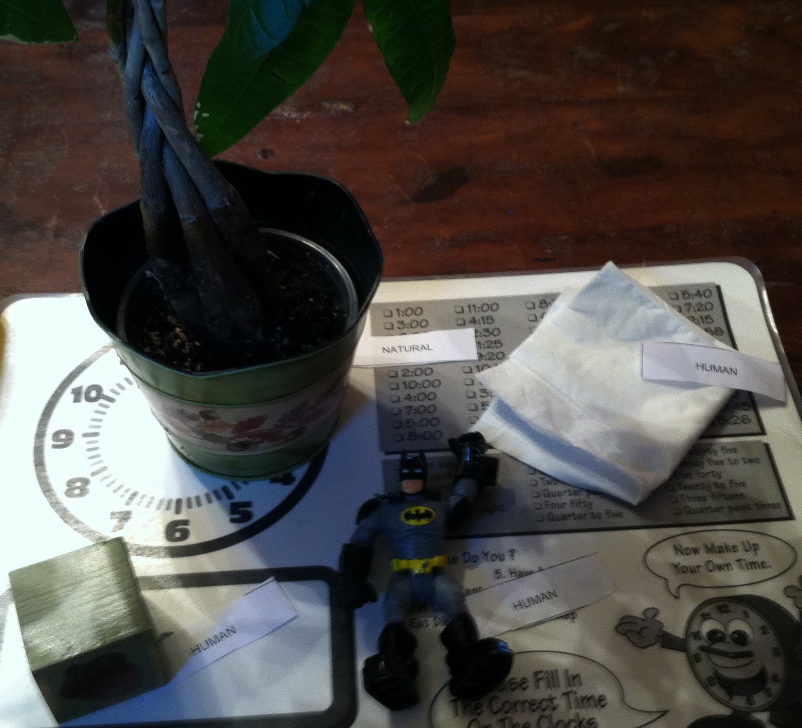 Heritage Homeschool: Science: Human Made, Natural Made