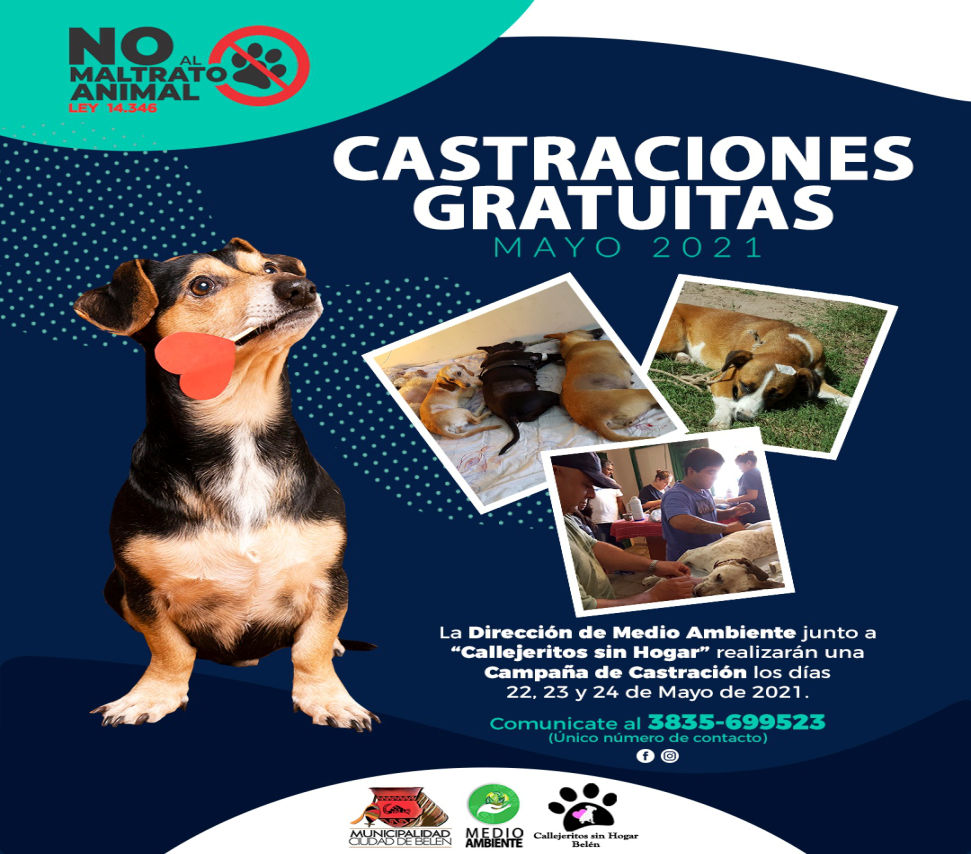 Campaña de castración gratuita