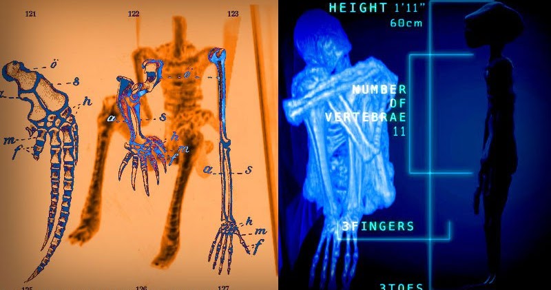Ascension with Mother Earth and Current State of Affairs: Nazca Mummies ...