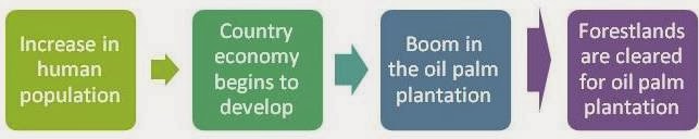 Deforestation: Case study in Malaysia: Causes