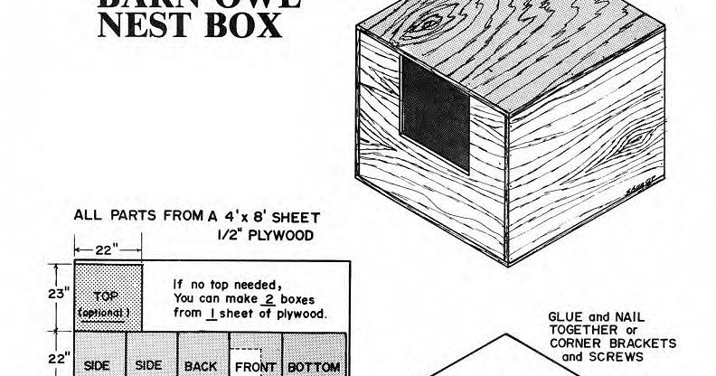 Owl House Plans Bathroom And Garden