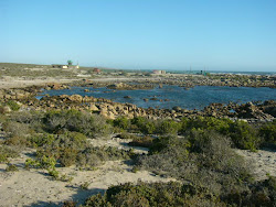 South African Road Trips: Koingnaas and Namaqua National Park